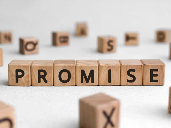 The Company Promise Statement™ – Rink Ventures